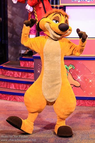 Timon At Disney Character Central