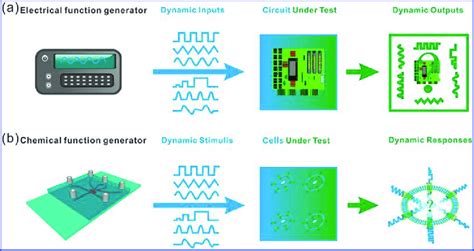 A The Schematic Diagram Of An Electrical Function Generator For Download Scientific Diagram