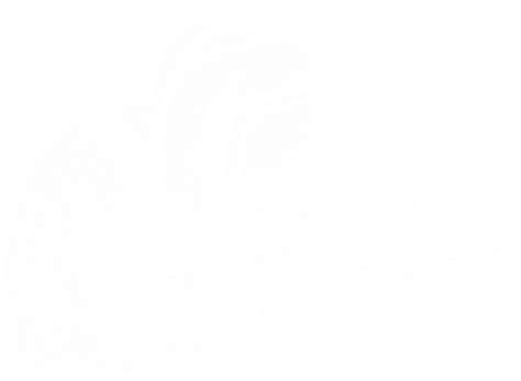 Emm Sticker Find And Share On Giphy