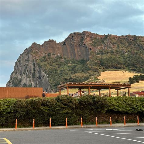 스크롤 타임라인