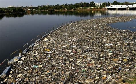 13 Shocking Images Show Indias Major Rivers Are Dying Of Pollution And
