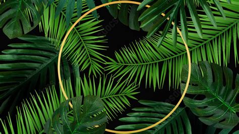 Green Nature Beautiful Palm Plant Leaf Powerpoint Background For Free Download Slidesdocs
