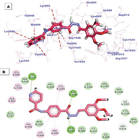 A 3d Binding Mode Of Compound 7 Into Vegfr 2 Active Site B 2d Download Scientific Diagram