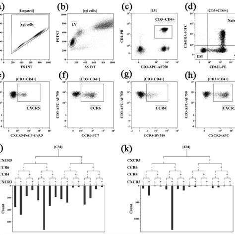Flow Cytometric Gating Strategy Used To Identify Main Th Cell Subsets Download Scientific