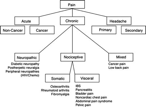 Different Types Of Pain Syndromes At Ethel Laskey Blog