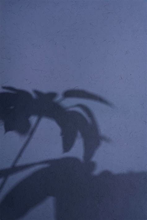 어두운 그림자 이미지 Freepik에서 무료 다운로드