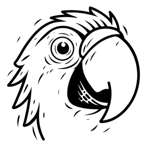 Premium Vector Parrot Vector Illustration Isolated Parrot On White