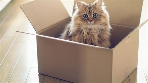 Power Automate Apply To Each Loops 20x Faster