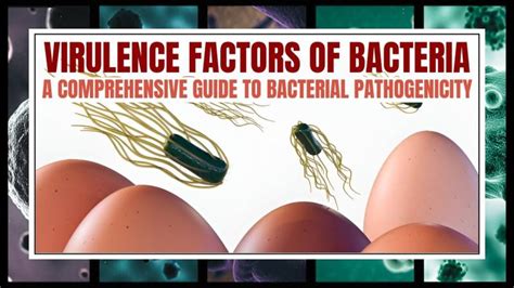 Virulence Factors Of Bacteria Comprehensive Guide To Bacterial