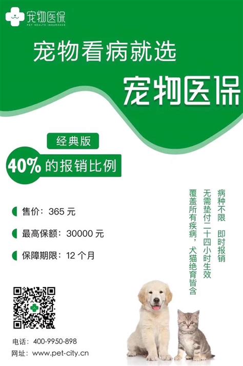 為什麼寵物看病越來約貴 每日頭條