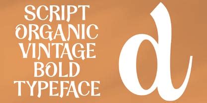 Dandy Script Font Webfont Desktop MyFonts