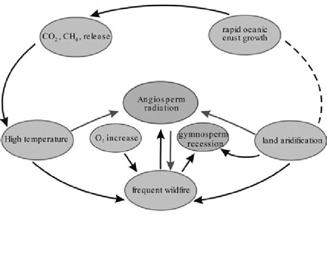 Angiosperm Expansion And Environmental Factors Download Scientific