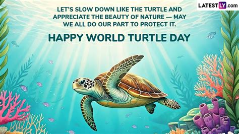 World Turtle Day 2025 Quotes Slogans And Images Inspiring Messages