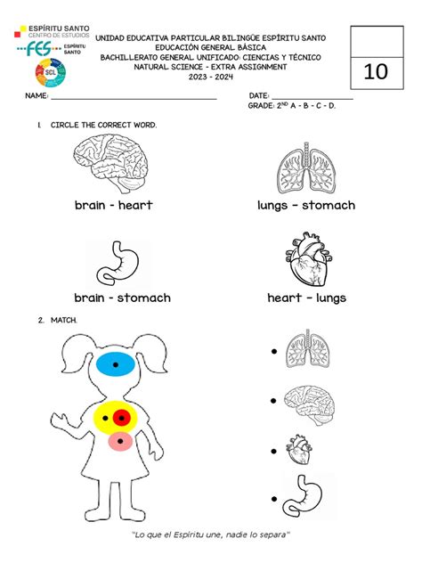 Extra Assignment Pdf