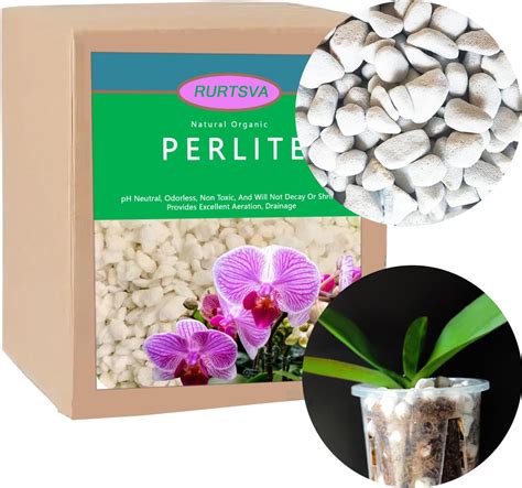 Natural Organic 1 2cm Chunky Perlite 5qt For Plants