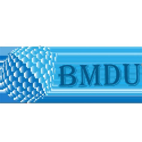 bm digital utilization company profile information investors