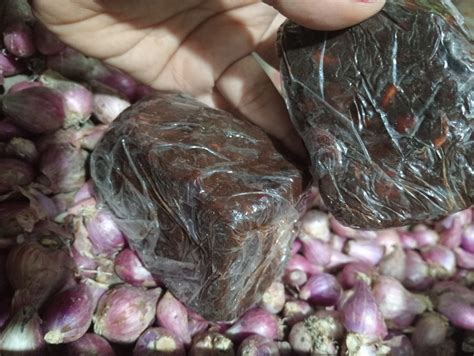 Asem Jawa Tanpa Biji Sinergi Smart Tumbas