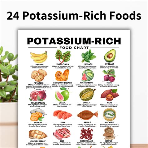 High Potassium Foods Potassium Rich Foods High In Potassium Foods