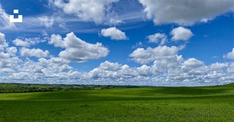 푸른 하늘과 낮 동안 흰 구름 아래 푸른 잔디 밭 사진 Unsplash의 무료 Украина 이미지