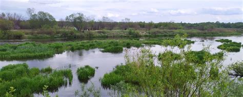 Весело "идём" по воде | Сплавляемся по реке Ипуть, почти сразу же после ...