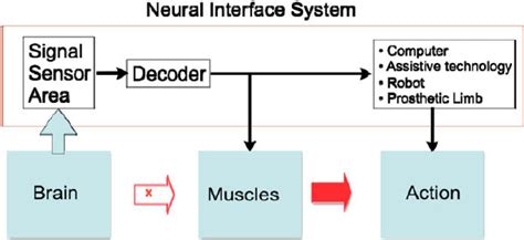 Design Of A Neural Interface System [6 P 512] Download Scientific Diagram