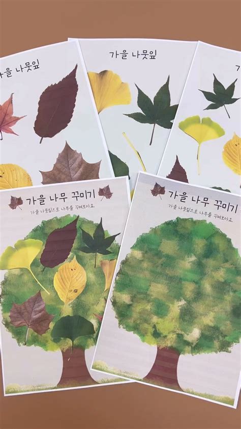 🍁가을 자연물 바구니🍁 🍂자연물 실사 자료로 놀이해보세요 🐿️코팅해서 바깥놀이 나갈때 활용해도 좋답니다 가을놀이 가을활동 자연물놀이 자연물작품 자연물미술