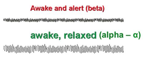 EEG Lab Test Flashcards Quizlet