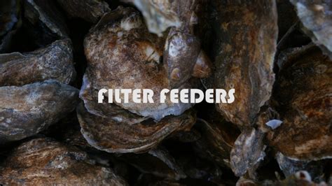 Filter Feeders Audpop