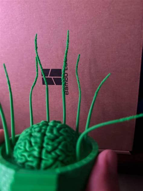 Blobs Occur When Printing Really Small Layers Rbambulab