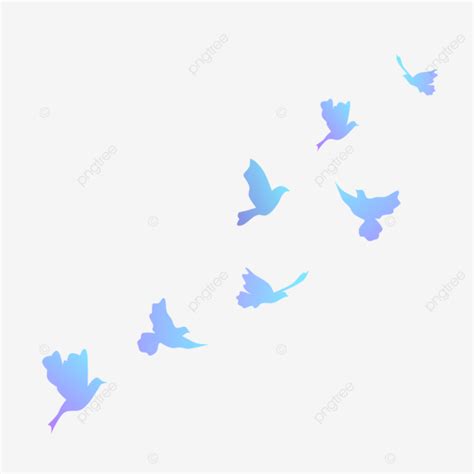 화려한 새 비행 클립 아트 다채로운 새들 나는 새들 날아다니는 새들 Png 일러스트 및 벡터 에 대한 무료 다운로드 Pngtree
