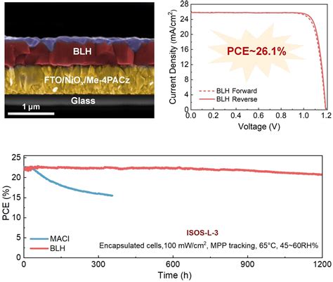 我校青年教师在国际顶级期刊《advanced Materials》发表重要研究成果 中国计量大学