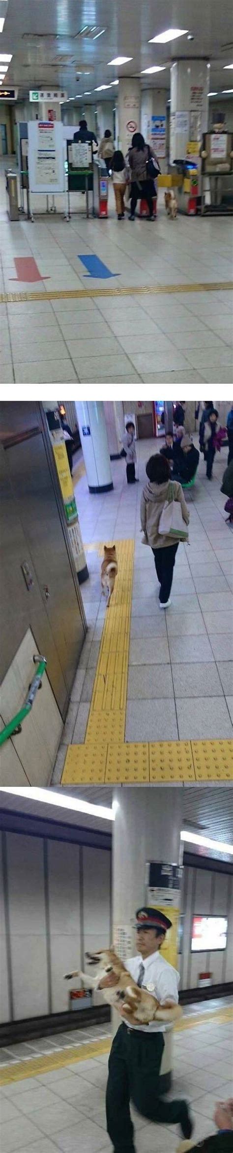 돈 안 내고 지하철 타기 인스티즈instiz 이슈 카테고리