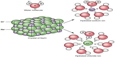 Solid Liquid Solution The Solution Process QS Study