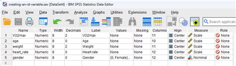 Creating An Id Variable In Spss Statistics Procedure To Create An Id Variable In Spss