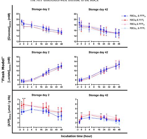 Quantification Of Rbc Metabolites During Transfusion Simulations In Download Scientific Diagram