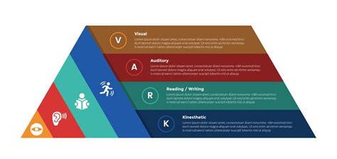 Vark Learning Styles Infographics Template Vector Image