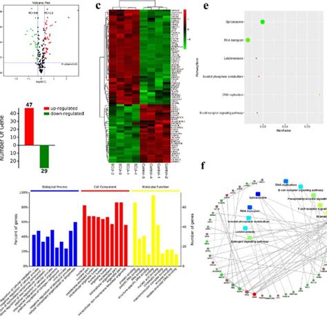 Proteomic Analysis Of Differentially Expressed Proteins A Download Scientific Diagram