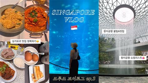 싱가포르 Vlog🇸🇬 싱가포르 맛집 정복하기😋 센토사섬•아쿠아리움 구경 창이공항에서 놀기 창이공항 꿀팁•면세점 쇼핑리스트🛍 대한항공 기내식 Youtube