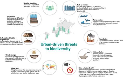 Frontiers Urbanization And Habitat Loss An Overview Of Rapidly