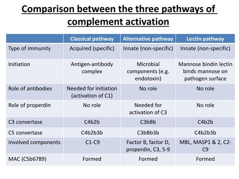 Ppt Complement System Powerpoint Presentation Free Download Id1975728