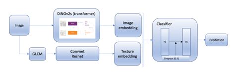 Overall Deep Learning Model Architecture Dinov2 Is Used As The Download Scientific Diagram