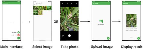Frontiers Convolutional Neural Network In Rice Disease Recognition Accuracy Speed And