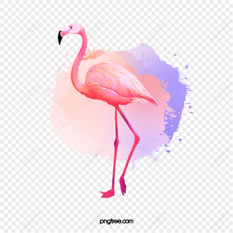 핑크 수채화 스플래시 이미지 사진 및 Png 일러스트 무료 다운로드 Lovepik