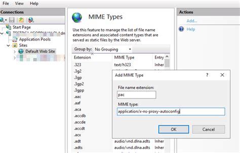 Windows Proxy Settings Ultimate Guide Part III WPAD PAC Configuration File IP Loging