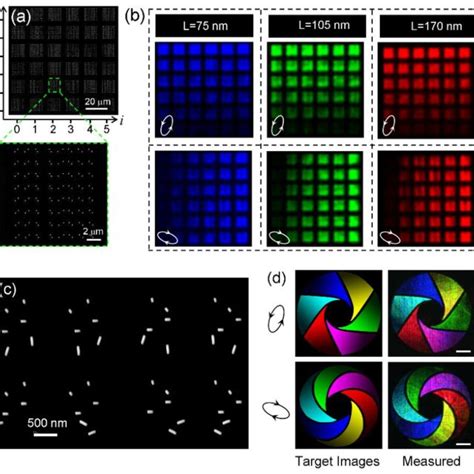 Metasurface Design For Independent Complex Amplitude Control Of Download Scientific Diagram