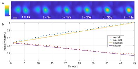 A Intensity Modulated Dual Spot Light Field Through A Multi Core