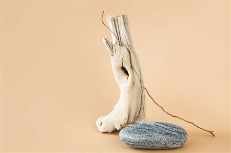 제품 프리젠 테이션 이나 전시회에 대 한 건조 한 나무 가지와 돌 추상 베이 지 배경 천연 에코 유기농 화장품 컨셉 공간을 복사합니다 0명에 대한 스톡 사진 및 기타 이미지