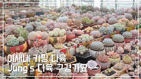 이새네 키핑 매니아님 다육이 구경하기~~ Youtube