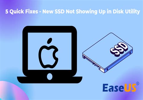 New SSD Not Showing Up In Disk Utility Quick Solutions
