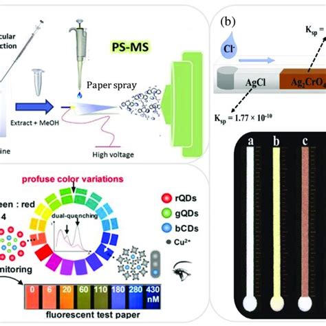 A Paper Spray Ionization Mass Spectrometry Detection Device For